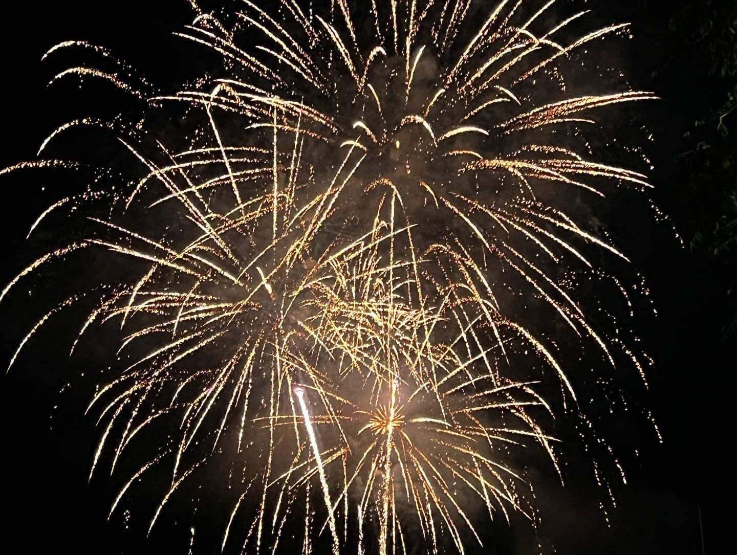 Port of Dartmouth Royal Regatta | Your Devon Escape