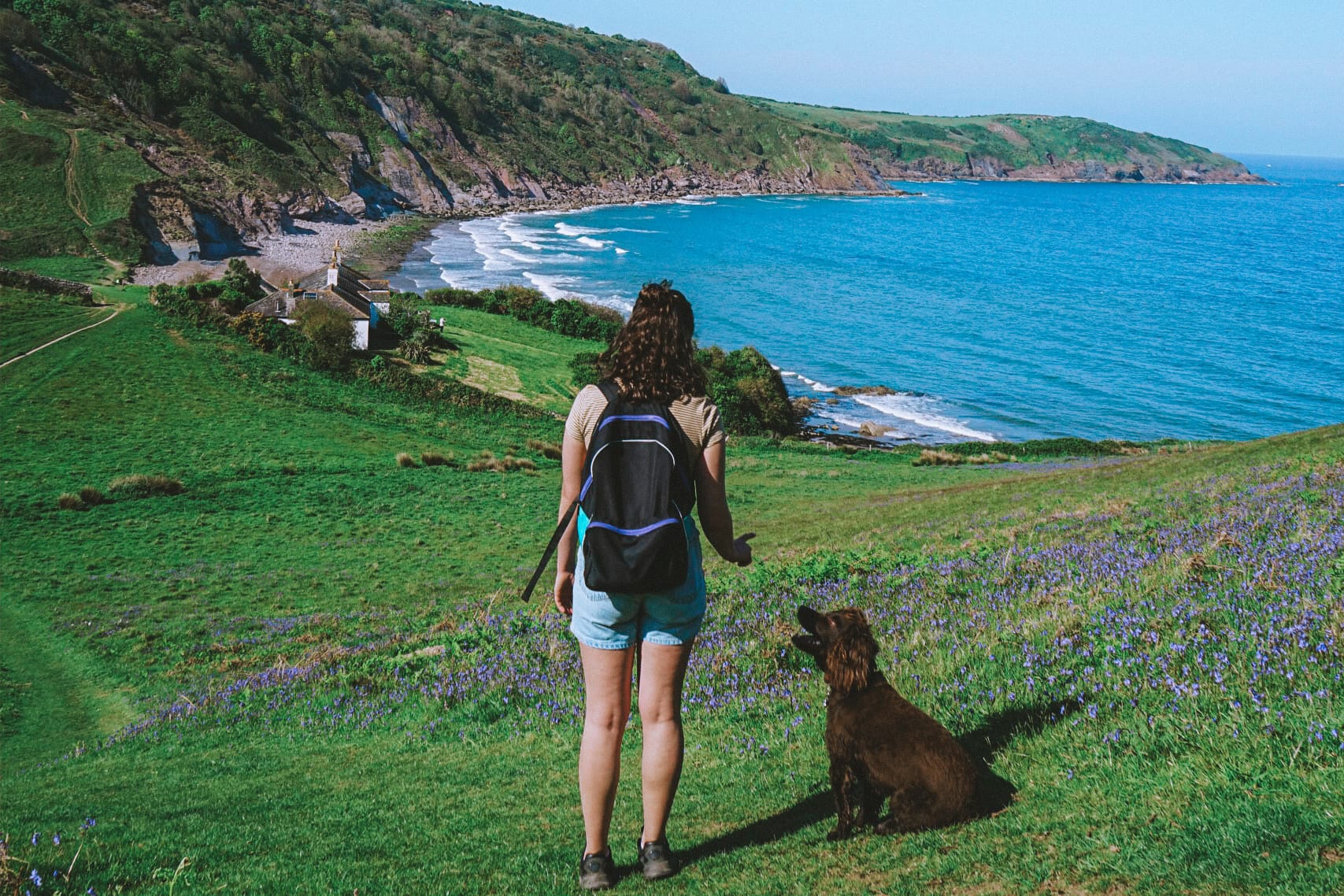 The Best Dog Friendly Activities in North Devon - Your Devon Escape