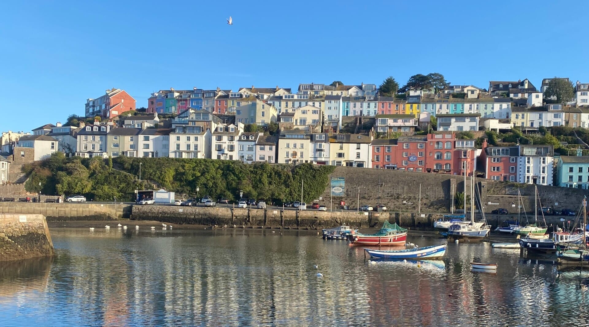 Free Things to Do in Brixham | Your Devon Escape