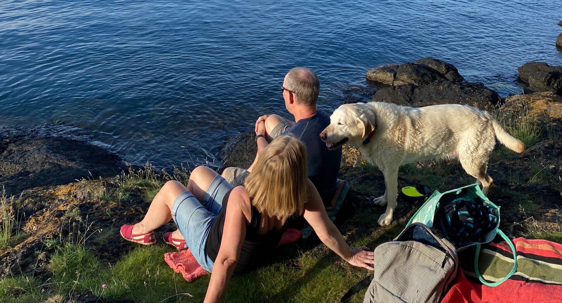 Things to Do in Devon with a Dog | Your Devon Escape