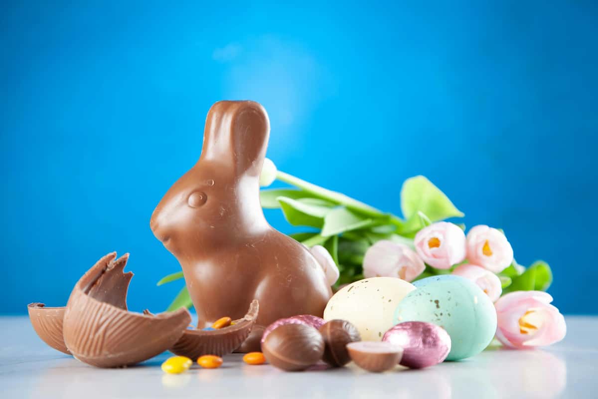 A Guide to Easter in South Devon | Your Devon Escape